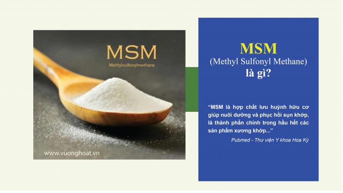 Thành Phần MSM Là Gì? Khám Phá Lợi Ích Và Công Dụng Không Ngờ